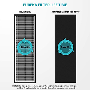 Eureka NEA-F1 True HEPA Filter, Filter Replacement for Eureka NEA120 , Black
