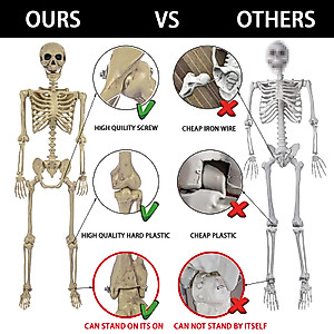 HBSTK 5.5Ft/65 Inches /165cm Pose-N-Stay Halloween Skeleton Life Size Full Body Posable Movable Jonints with 200sqft Strech Cobweb and 50 Small Fake Spiders for Halloween Decoration Decor