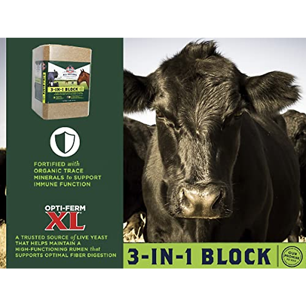 3 in 1 Block for Cattle and Horses, 40 lb