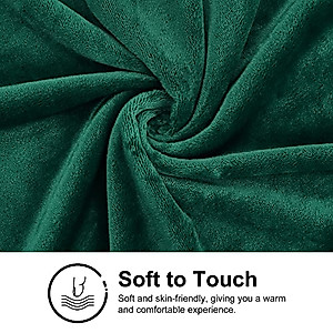 Dekoresyon Fleece Throw Blanket, Plush Fuzzy Bed Blanket Super Soft Lightweight Flannel Blankets for Couch Bed Sofa, (Green, 50x60 Inches)