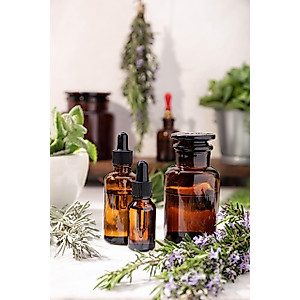 Glass dropper bottles 2 oz Amber Glass Dropper Bottles (60mL) Pack of 4 (includes both glass bottle and dropper)