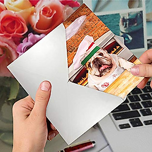 NobleWorks - 1 Adorable Birthday Card Funny - Pet Dog Animal Humor, Bday Notecard with Envelope - Pizza Dog C3208BDG