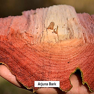 Banyan Botanicals Heart Formula – Organic Herbal Heart Health Supplement with Hawthorn Berry and ­­Guduchi – Supports Proper Function of The Heart* – 90 Tablets – Non-GMO Sustainably Sourced Vegan