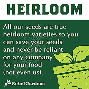 Organic Microgreen Seeds - Non-GMO Microgreens Sprouting Kit - Broccoli, Kale, Spicy, Mild, and Sandwhich Mix for Planting Indoor Sprouts