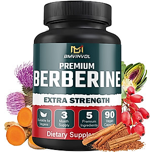 5-in-1 Berberine with Ceylon Cinnamon Milk Thistle Turmeric Artichoke - 3 Month Supply - 90 Capsules