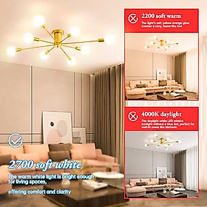 Brighfivey Frosted LED Globe Light Bulb, Warm White 2700K CRI 90, 600LM 6W E26 Medium Base, Light Bulbs 60 Watt Equivalent G30/G95 Dimmable Edison Bulb, 1 Pack