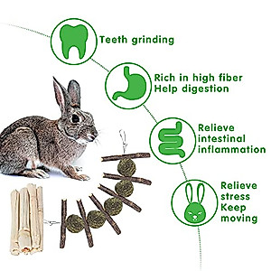 GANBRIPS 4 Pack Rabbit Chew Toys for Teeth, Bunny Chew Treats, 100% Natural Apple Wood Sticks Timothy Hay Balls Loofah Carrot Sweet Bamboo Toys for Bunnies/Chinchillas/Guinea Pigs/Hamsters