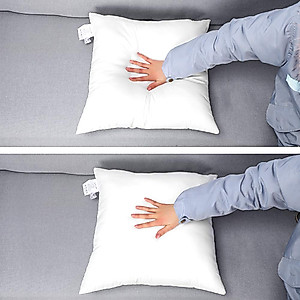 Artscope Premium Lumbar Throw Pillow Insert Rectangle Form Cushion Stuffer for Couch, Sofa, Bed - Indoor Decorative Pillows Inserts 12x20 Inch