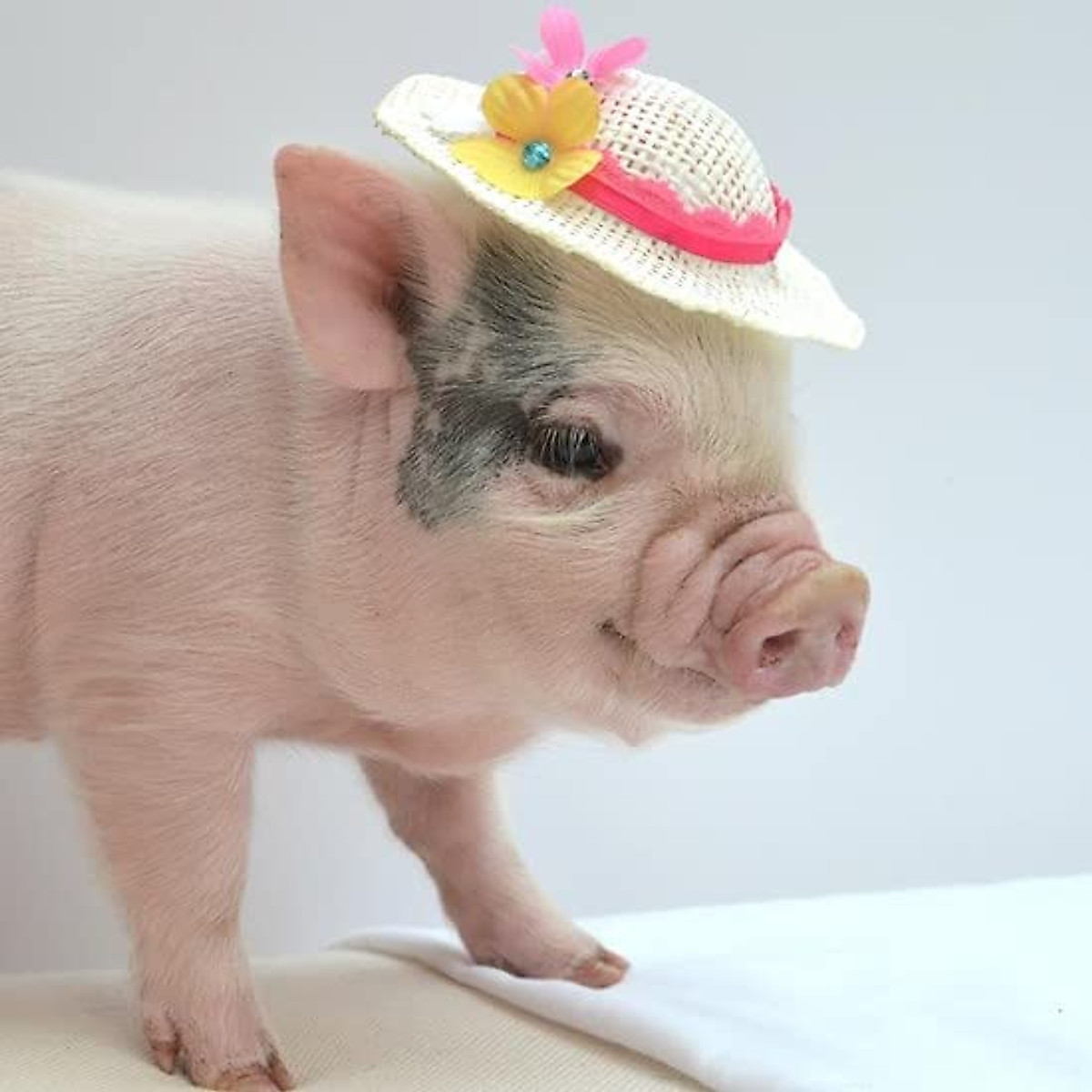 CafePress Micro Pig With Summer Hat Small Mug Ceramic Coffee Mug, Tea Cup 11 oz