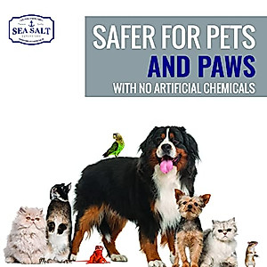 Sea Salt Superstore Ice Melt Salt for Sidewalks and Driveways - All-Natural Sea Salt Deicer, 5 Lb Bag