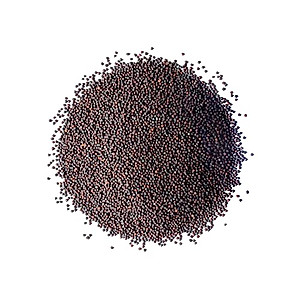 Broccoli Seeds for Sprouting, 8 Ounces – Vegan, Kosher, Sirtfood, Bulk. Rich in Sulforaphane, Vitamin C, Vitamin A. Great for Growing Sprouts, Microgreens. High Germination Rate