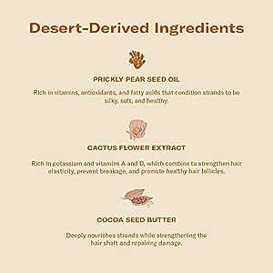 DAE Monsoon Moisture Mask - Intense Hydration, Leaves Hair Glossy & Smooth, Strengthens Hair Elasticity, Helps Prevent Damage (8 oz)