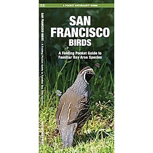 San Francisco Birds: A Folding Pocket Guide to Familiar Bay Area Species (Nature Observation North America)