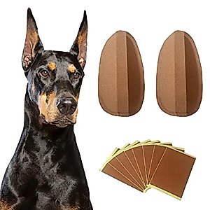 CDQL Dog Ear Stand Sticker Up Support Tool, Fix Dog Ear Posture, Comfortable and Easy to Use, Ideal for Doberman, Samoyed, Great Dane, Prevent Sweating and Itching (10 * 5cm)