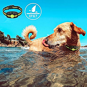 Bark Collar for Small Dogs 5-15lbs Small Dog Bark Collar Anti Barking Collar for Dogs Vibrating Dog Collar No Shock Vibration Collar for Dogs Intensity Adjustable No Bark Collar for Medium Small Dogs