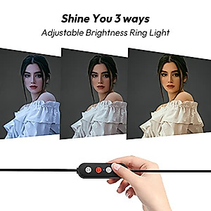 Weilisi 6.5'' Ring Light for Computer, 3 Light Modes Video Conference Lighting, Mini Ring Light for Laptop, Webcam Light, Zoom Light, Desk Ring Light, Selfie Ring Light