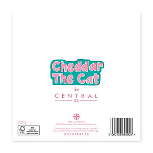 CENTRAL 23 - Cute Birthday Cards for Her - 'To My Lovely Goddaughter' - Cat Birthday Card - Goddaughter Birthday Card - Fun Birthday Cards for Women - Comes with Fun Stickers