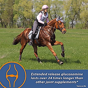 Farnam MaxFlex XR Extended Release Joint Supplement for Horses, Provides a continuous supply of joint health ingredients for 24 hours, 0.9375 pound, 30 Day Supply