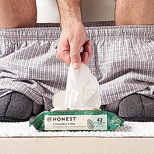 The Honest Company Plant-Based Flushable Wipes | 99% Water, Hypoallergenic, EWG Verified, Safe to Flush | Fragrance Free, 42 Count
