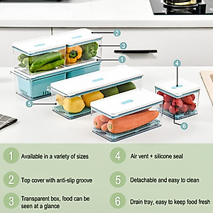 Lille Home Stackable Produce Saver, Organizer Bins/Storage Containers with Removable Drain Tray, Set of Six, for Refrigerators, Cabinets, Countertops and Pantry, BPA Free (Blue,Set of Six)