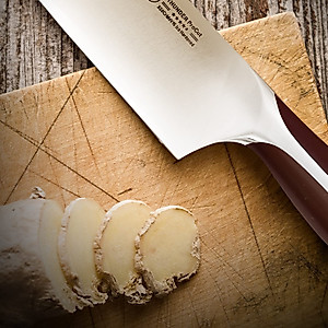 Gunter Wilhelm 10” Chef Knife, Multi-Use Professional Kitchen Knife, Full Tang,  Thunder ProCut Series