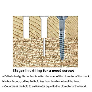 T.K.Excellent Wood Screw Phillips Flat Head #4#6#8#10#12 Screws Assortment Kit,1050 Pcs