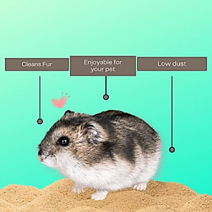 (12lb Bag) Hamster or Gerbil Bathing Sand Litter- All Natural Dry Desert Sand