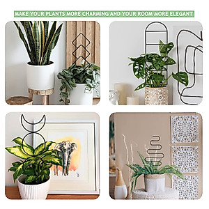 4 Pcs Plant Trellis for Climbing Plants Indoor, Small Trellis for Potted Plants,Indoor Plant Trellis for Potted Plants Support Black Garden Trellis for Hoya,Pothos,Flower,Monstera (4PCS Black)