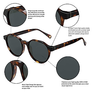 2020 VentiVenti Vintage Round Acetate Polarized Sunglasses Hard Frame Designer Eyewear For Women Men Black Tortoise Frame/Smoke Lens
