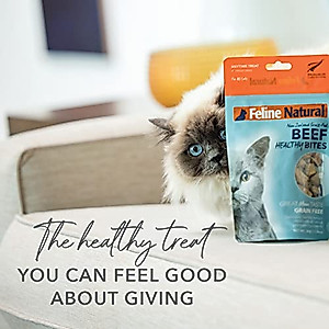 Feline Natural Grain-Free Freeze Dried Cat Treats, Lamb 1.76oz