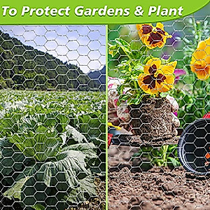 Chicken Wire, 16.9 In × 32.8 Ft Chicken Wire Fencing, Chicken Coop Accessories, 0.6 Inch Hexagonal Galvanized Wire Mesh for Rabbit Garden, Protecting Chicken Feeder Waterer, with Pliers & Glove