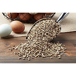 Purina Layena+ | Nutritionally Complete Layer Hen Feed | Omega 3 Formula - 10 Pound (10 lb) Bag