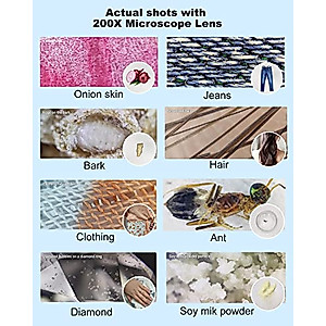 DDCHEN 200X Phone Microscope with LED Light, Microscope with Universal Phone Clip Compatible with iPhone/Andriod Phone,The Best Portable Microscope to Enjoy Microworld for Kids and Adults. (Black)