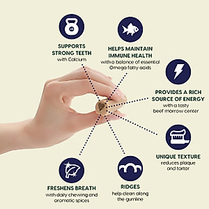 Ark Naturals Fortify Brushless Toothpaste, Dog Dental Chews for Small Breeds, Calcium Plus Omegas Support Strong Teeth and Immune Health, 12oz, 1 Pack