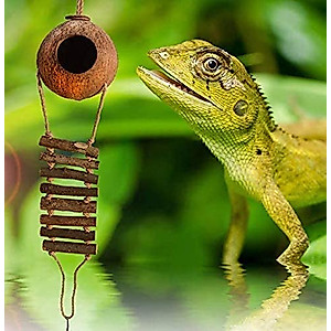 XXYWJF Gecko Coco Den with Ladder，Cave Habitat with Hanging Loop，Mini Condo for Lizards， Raw Coconut Husk Hide with Ladder，Gecko Coco den,5.1 Inches with 2.3Inches Opening Diameter