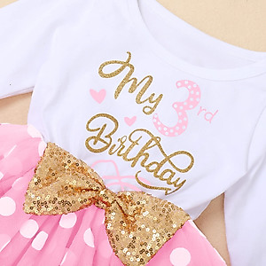 Winter Birthday Outfit Girl My Third Birthday Mini Dress Up Cake Smash Outfit Toddler Baby Tulle Tutu Skirt Long Sleeve Mouse 3rd Birthday Party Supply Three Years Old Photo Props Polka Dots Pink