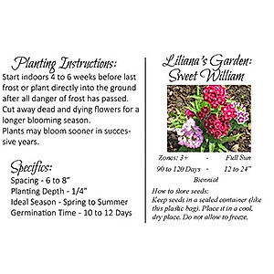 Flower Seeds - Sweet William Seeds- Mixed Colors - Dianthus barbatus - Biennial - Liliana's Garden