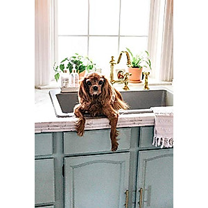 Kingston Brass KS3792AXBS Restoration Bridge Kitchen Faucet, 9", Polished Brass