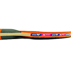 Butterfly Timo Boll Carbon Fiber Ping Pong Paddle | ITTF Approved Table Tennis Racket | Ping Pong Sponge and Rubber | Carbon Layers in Ping Pong Racket for Power | Professional Ping Pong Paddle, 1000 Model