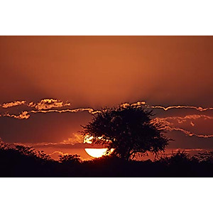 TAMRON Super Zoom Lens SP 150-600mm F5-6.3 Di VC USD G2 for Nikon Full Size A022N