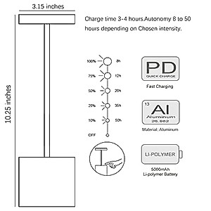 Barryca Cordless Led Table Lamp Rechargeable, Battery Operated Metal USB Desk Lamp, Portable Dimmable Outdoor Light, for Outside/Indoor/Restaurant/Home/Patio