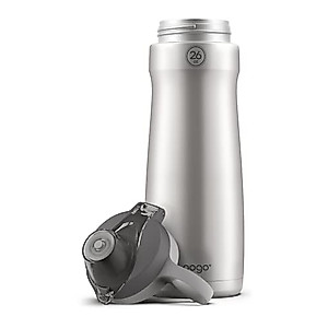 Pogo Vacuum Insulated Stainless Steel Water Bottle with Leak Proof Chug Lid and Silicone Carry Loop, Grey, 26 oz