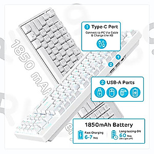 RK ROYAL KLUDGE RK89 85% Triple Mode BT5.0/2.4G/USB-C Hot Swappable Mechanical Keyboard, 89 Keys Compact Mechanical Keyboard with Detachable Frame & Software (Hot-Swappable Brown Switch, White)