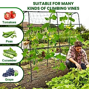 OTOSUNNY Garden Trellis for Climbing Plants Outdoor, 5x5ft Cucumber Trellis for Garden Raised Bed, Garden Trellis for Vegetables, with Nylon Netting, Black PE-Coated Steel Tubing (Dia: 6/11 in)