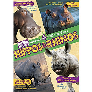 Hippos & Rhinos