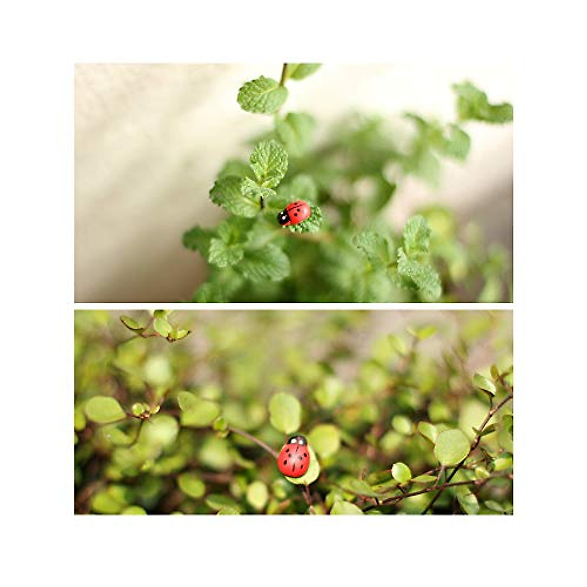 200 Pcs Mini Wooden Ladybugs Stickers with 3 Sizes for Fairy Garden Home Decor