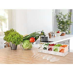 7Penn Condiment Tray with Ice Chamber, 5 Condiment Containers, Lid, 3 Tongs, 3 Spoons - Chilled Condiment Server Caddy