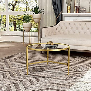 FINECASA Clear Coffee Table Round, 30 '' Modern Center Glass Table with Gold Metal Frame, Round Glass Top Coffee Table for Living Room, Glass Coffee Table with Clear Top (Gold)