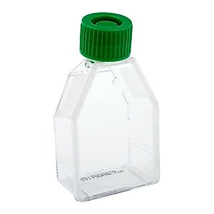 Celltreat 229320 Tissue Culture Treated Flask, Plug Seal Cap, Sterile, 25mL Capacity, 12.5cm2 Size (Case of 200)