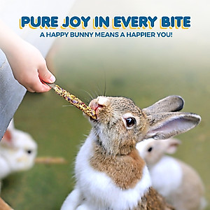 SunGrow Apple Sticks, Wood Chew Sticks for Rabbits, Chinchillas, Bunny, Hamster, Squirrel, Guinea Pigs, Small Animals Molar Pet Chew Toys Treat Sticks for Teeth Grinding (20 Pcs)